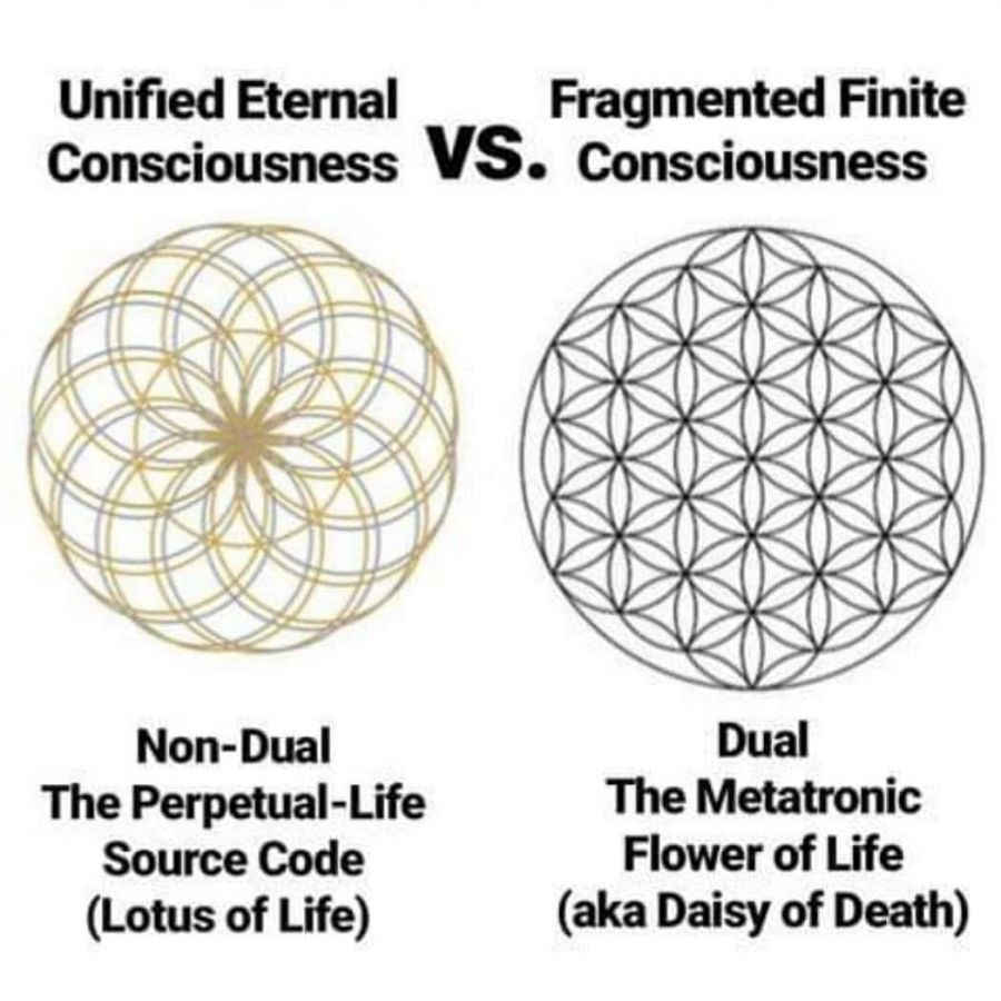 Overriding Reversals with the Divine Father - Amâeil (Melinda Urban ...